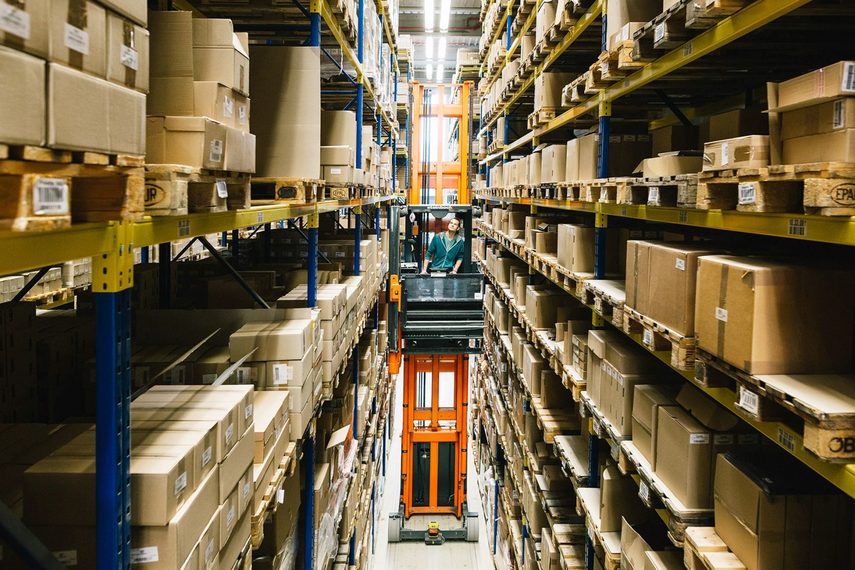 Career: Work at optimal media in Röbel - optimal media