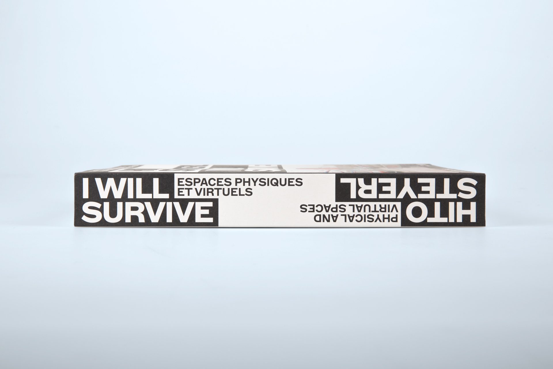 Hito Steyerl: I will survive as turnaround brochure - optimal media