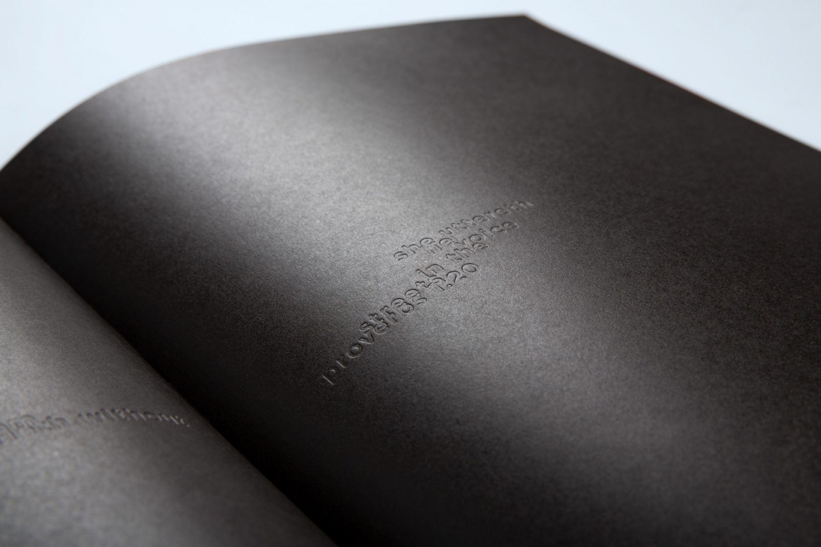 Paradigm Publishing: Life Before as a gatefold brochure - optimal media